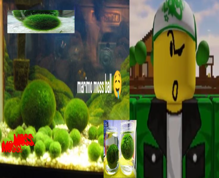 rochas's Post - Comic Studio